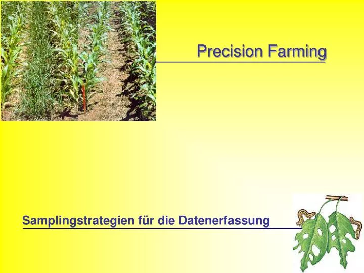 PPT - Precision Farming PowerPoint Presentation, free download - ID:2996236