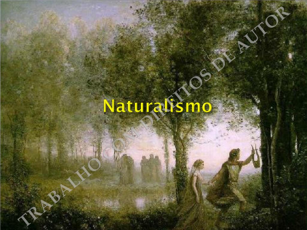 PPT - RealismO e naturalismo Trabalho elaborado por: - Pedro Camacho ...