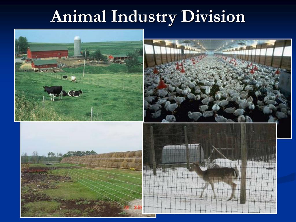 PPT - Green Jobs and Agriculture PowerPoint Presentation, free download ...