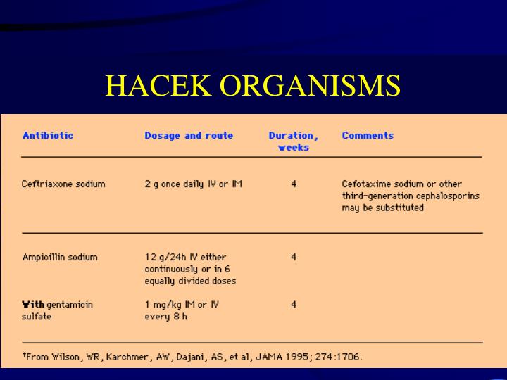 PPT - Endocarditis Infecciosa PowerPoint Presentation - ID:2998580