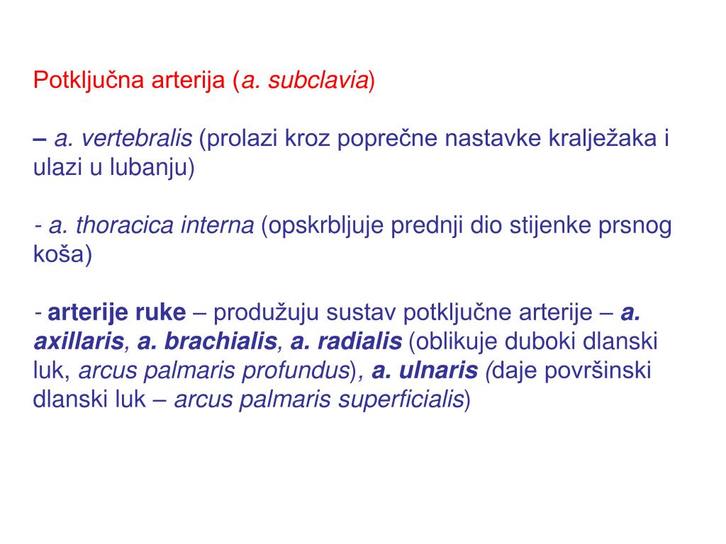 PPT - Srčanožilni (kardiovaskularni) sustav PowerPoint Presentation ...