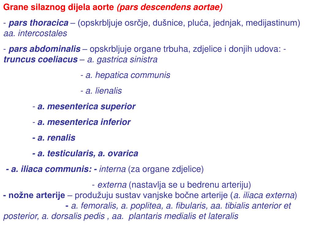 PPT - Srčanožilni (kardiovaskularni) sustav PowerPoint Presentation ...