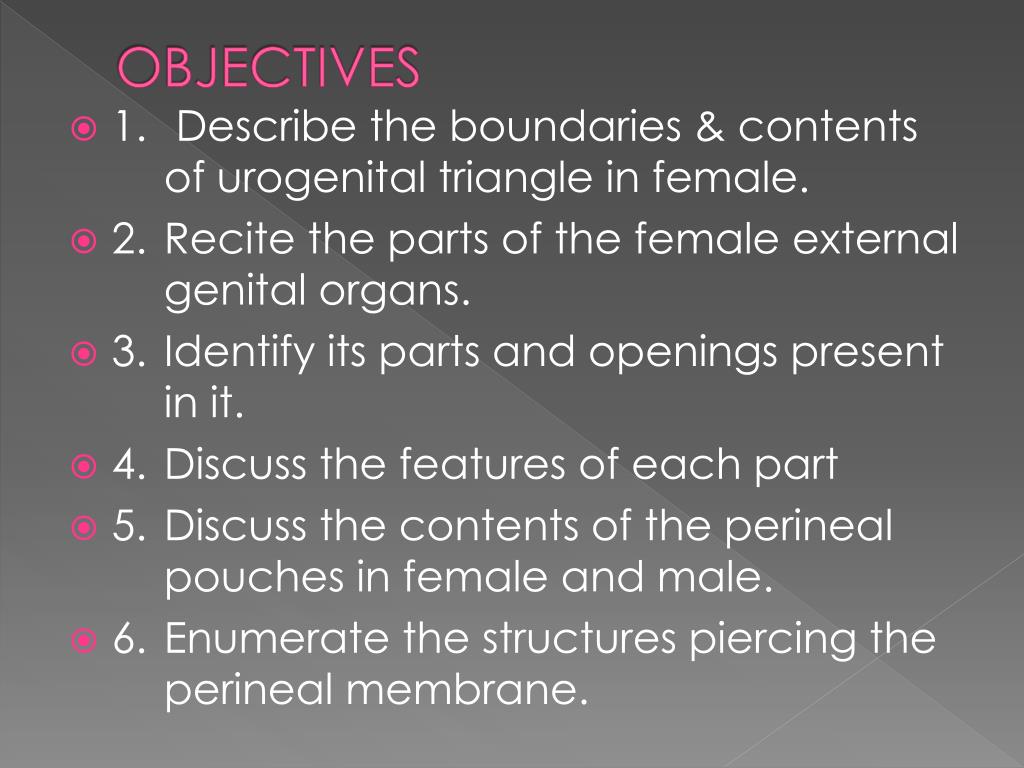 PPT - Urogenital triangle in female + Perineal pouches PowerPoint ...