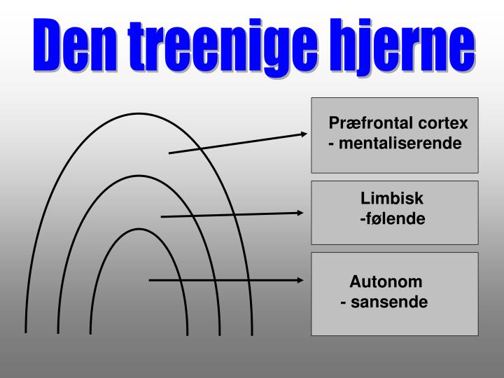 PPT - Neuroaffektiv udviklingspsykologi & Psykoterapi PowerPoint ...
