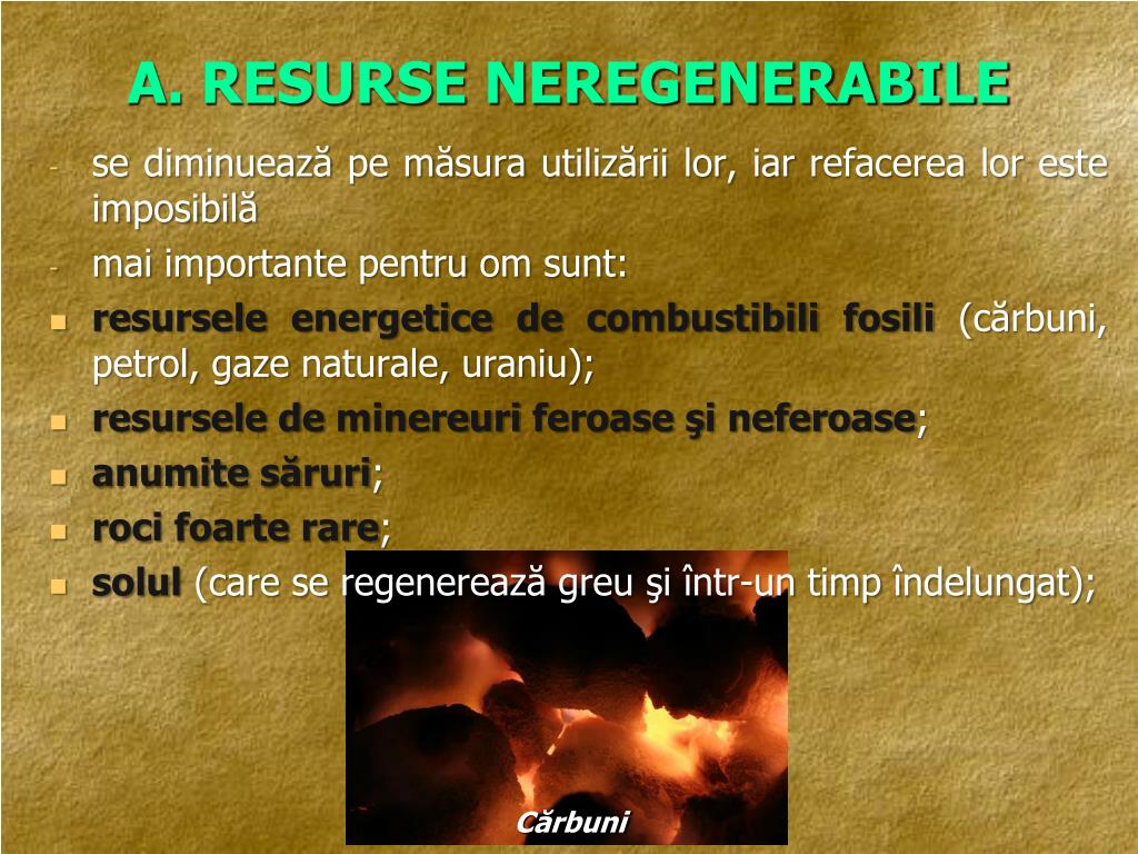 PPT - RESURSELE NATURALE ŞI AGRICOLE PowerPoint Presentation, free ...