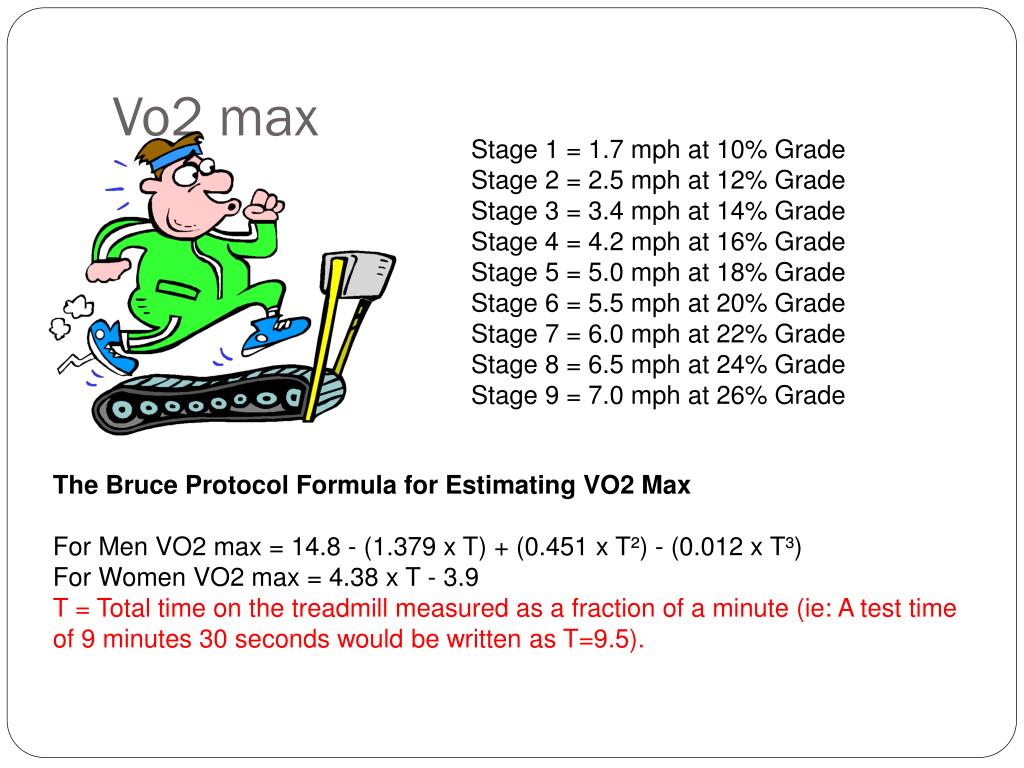 PPT - Sports Fitness PowerPoint Presentation, free download - ID:2999863