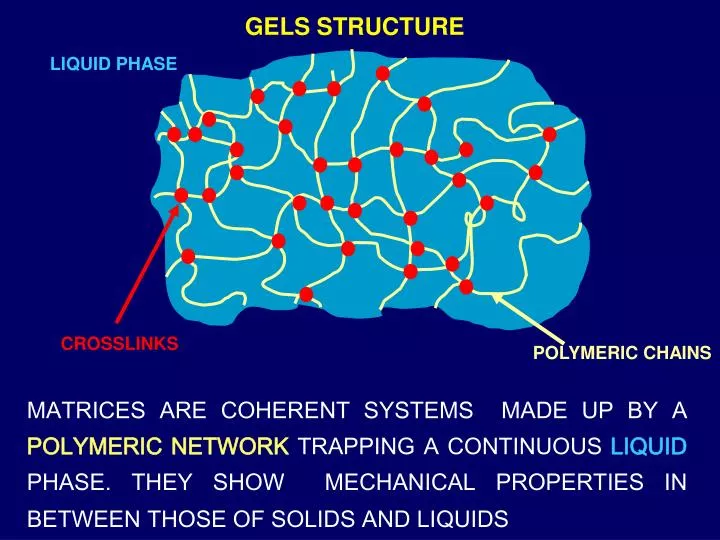 PPT - GELS STRUCTURE PowerPoint Presentation, free download - ID:3000008