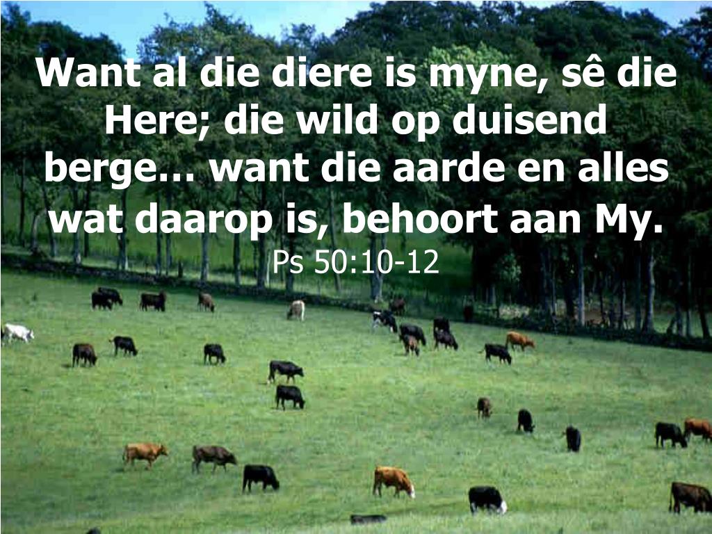 PPT - Die diere van die veld is almal Myne… alles in die wêreld behoort ...