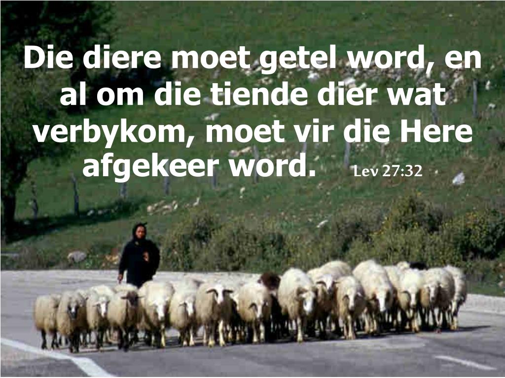 PPT - Die diere van die veld is almal Myne… alles in die wêreld behoort ...