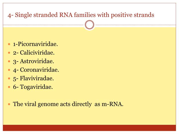 PPT - General structure and classification of viruses PowerPoint ...