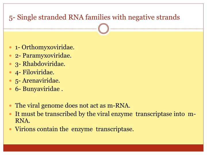 PPT - General structure and classification of viruses PowerPoint ...