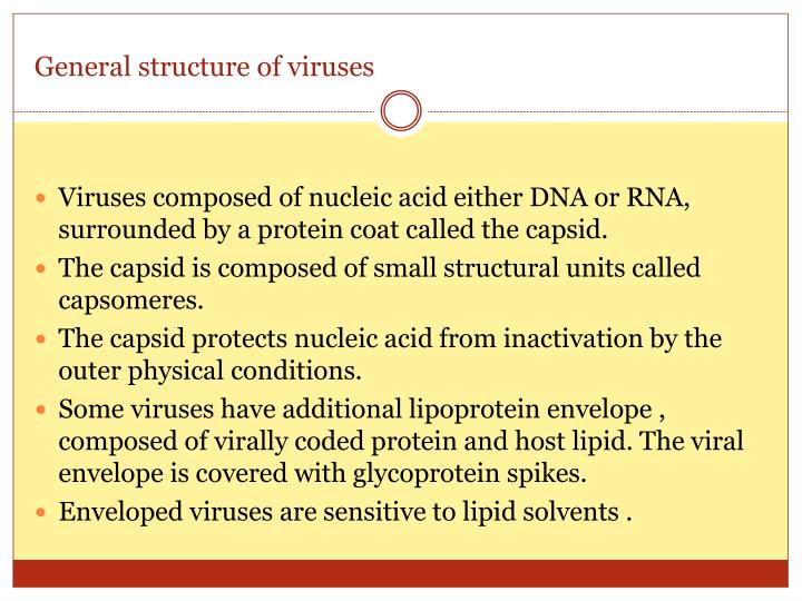 PPT - General structure and classification of viruses PowerPoint ...