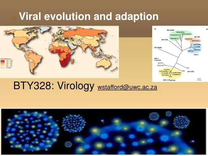 PPT - Viral evolution and adaption PowerPoint Presentation, free ...