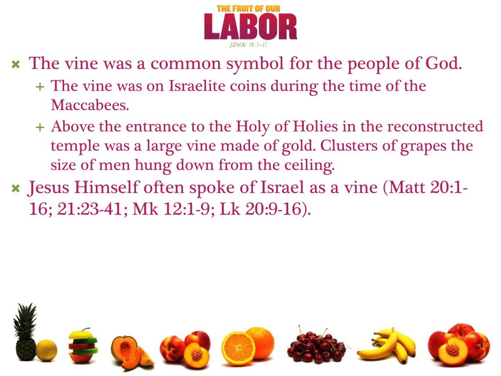 PPT - The vine was a common symbol for the people of God. PowerPoint ...