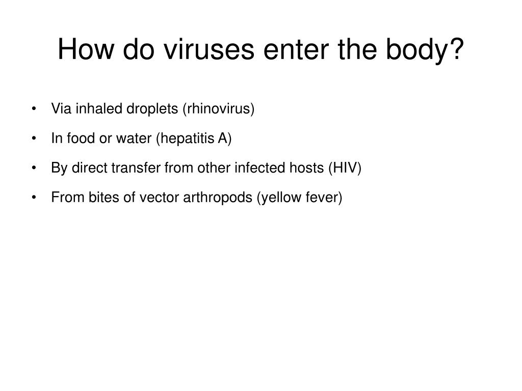 PPT - Medical Virology Lecture 31 (finally!) The DNA Viruses PowerPoint ...