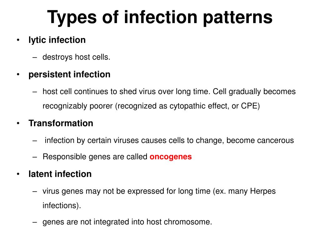 PPT - Medical Virology Lecture 31 (finally!) The DNA Viruses PowerPoint ...