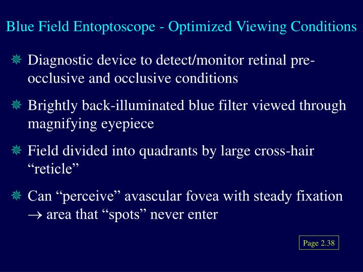 PPT - Entoptic Phenomena of Retinal Origin PowerPoint Presentation - ID ...