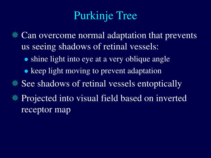 PPT - Entoptic Phenomena of Retinal Origin PowerPoint Presentation - ID ...