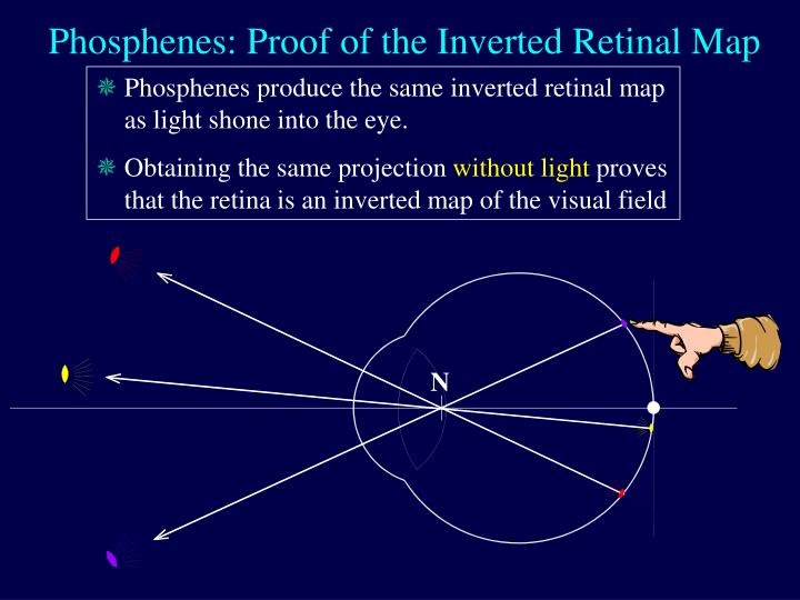 PPT - Entoptic Phenomena of Retinal Origin PowerPoint Presentation - ID ...