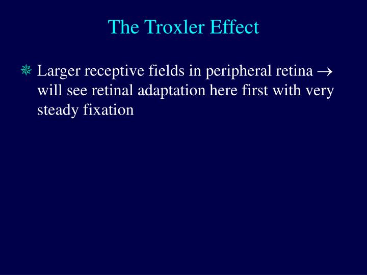 PPT - Entoptic Phenomena of Retinal Origin PowerPoint Presentation - ID ...
