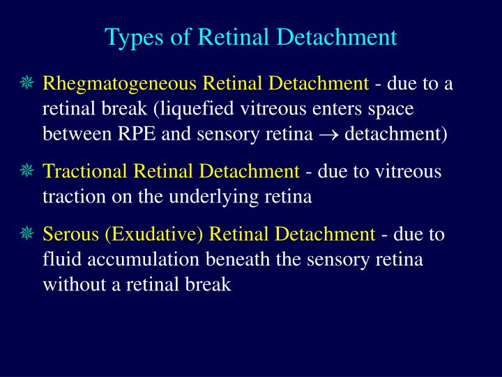 PPT - Entoptic Phenomena of Retinal Origin PowerPoint Presentation - ID ...