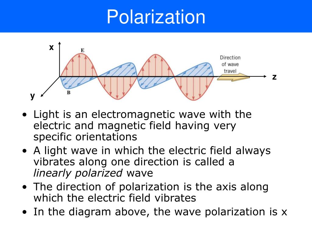PPT - 29:006 FINAL EXAM FRIDAY MAY 11 3:00 – 5:00 PM IN LR1 VAN ...