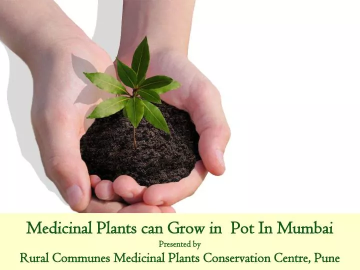 PPT - Need of Conservation & Cultivation of Medicinal Plants by ...