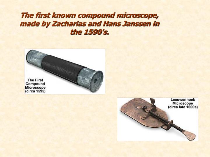 PPT - תולדות המיקרוסקופים המאה ה16 והמאה ה17 PowerPoint Presentation ...
