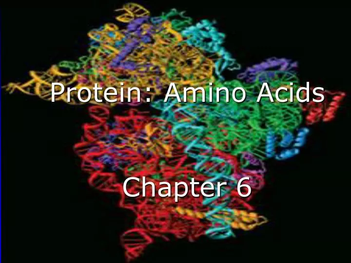 PPT - Protein: Amino Acids Chapter 6 PowerPoint Presentation, free ...