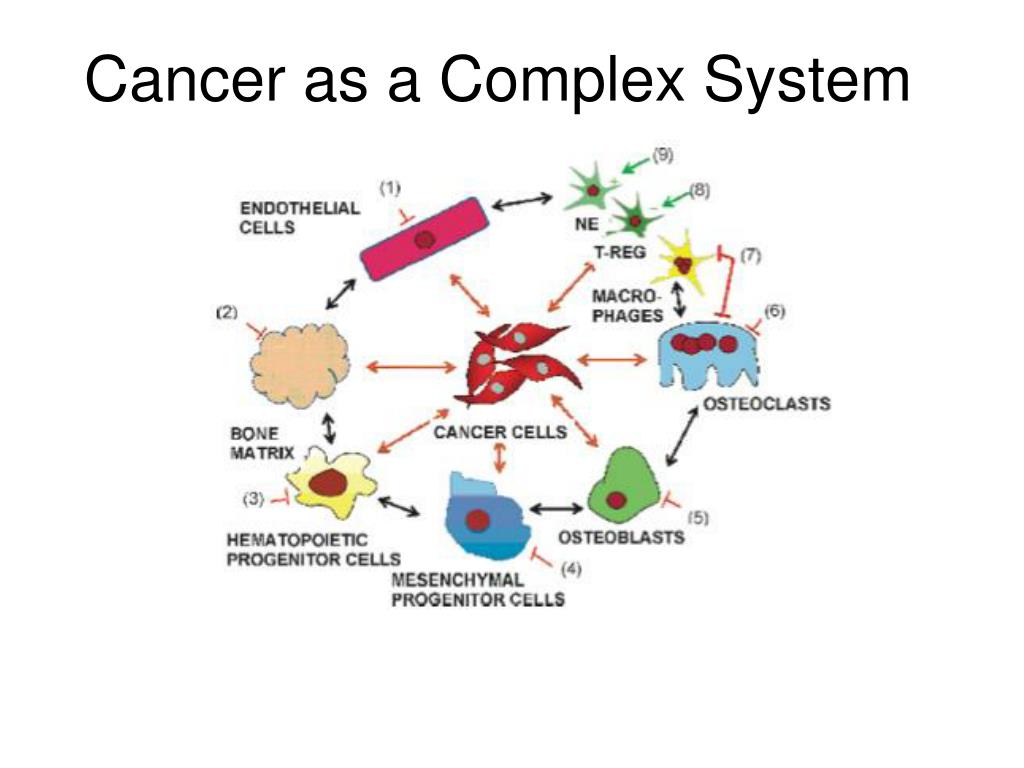 PPT - CBIO243: Principles of Cancer Systems Biology PowerPoint ...