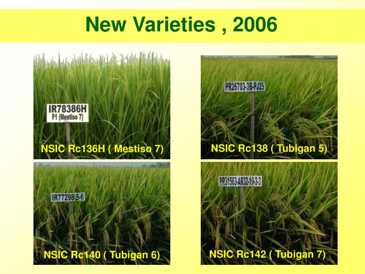 PPT - Seed Quality PowerPoint Presentation - ID:3002824