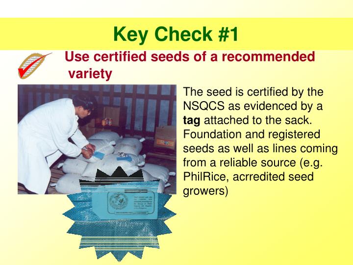 PPT - Seed Quality PowerPoint Presentation - ID:3002824