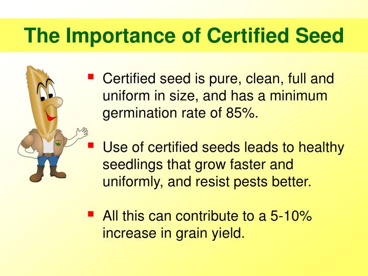 PPT - Seed Quality PowerPoint Presentation - ID:3002824