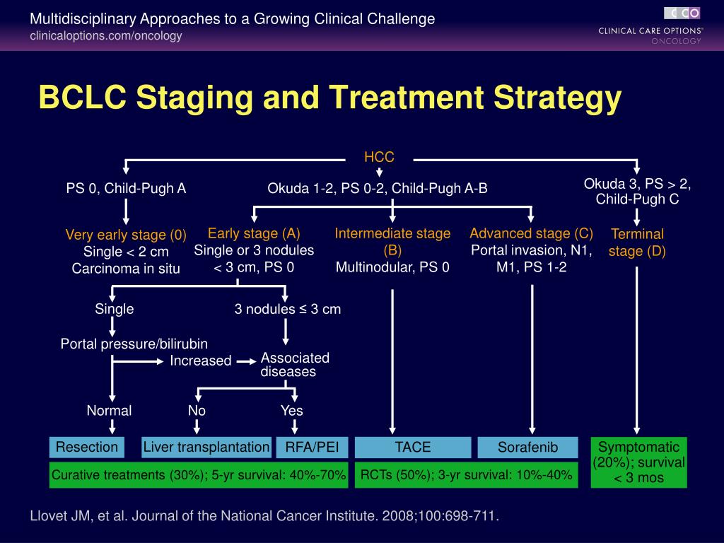 PPT - Hepatocellular Carcinoma in Veterans: Multidisciplinary ...