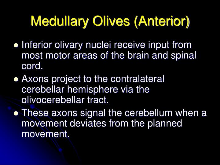 PPT - BRAINSTEM PowerPoint Presentation - ID:3003173