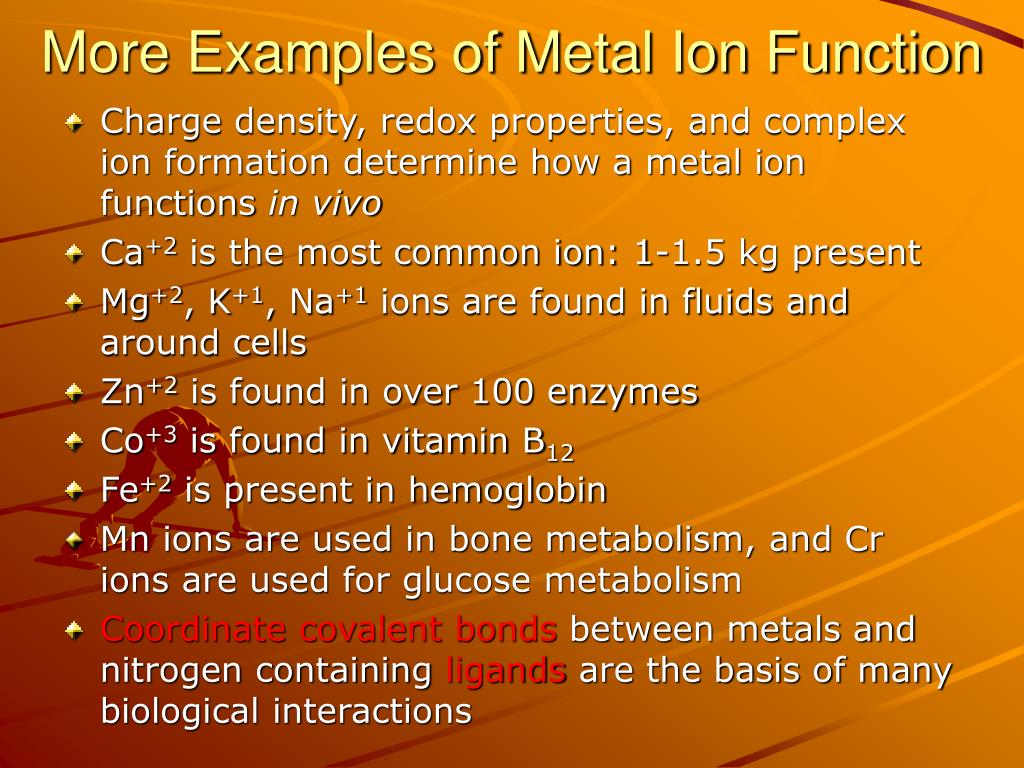 PPT - HL Chemistry - Option B : Human Biochemistry PowerPoint ...