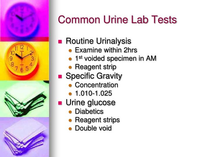 PPT - Specimen collection PowerPoint Presentation - ID:3004157