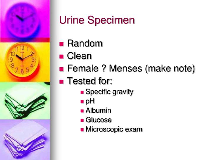 PPT - Specimen collection PowerPoint Presentation - ID:3004157