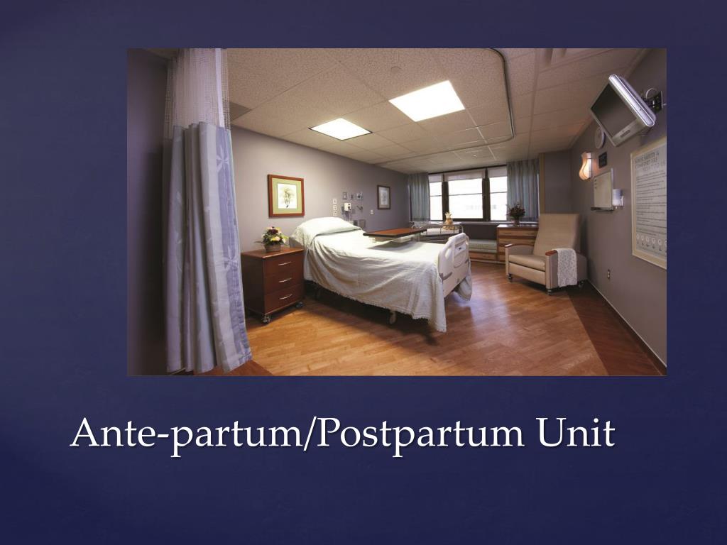 PPT - Women & Children’s Services PowerPoint Presentation - ID:3004560