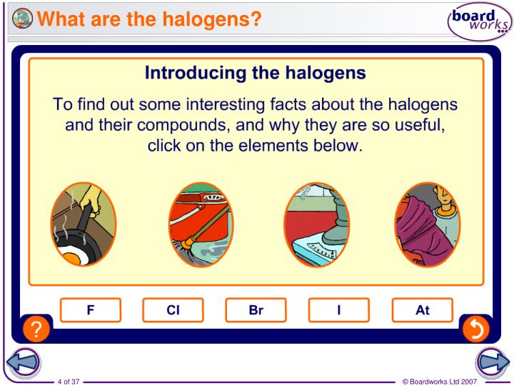 PPT - Group 7 – the halogens PowerPoint Presentation - ID:3005113