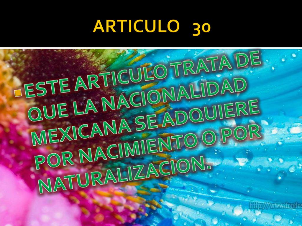 PPT - ORGANIZACIÓN DEL ESTADO MEXICANO PowerPoint Presentation, free ...