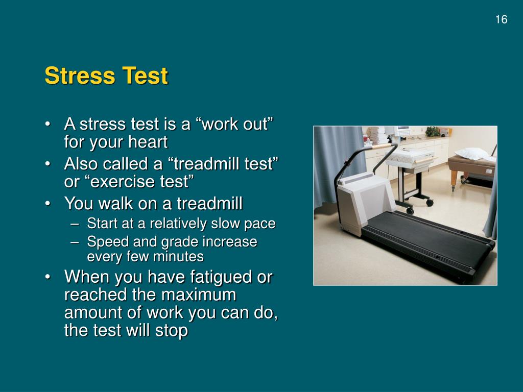 PPT - Women and Coronary Artery Disease (CAD) PowerPoint Presentation ...