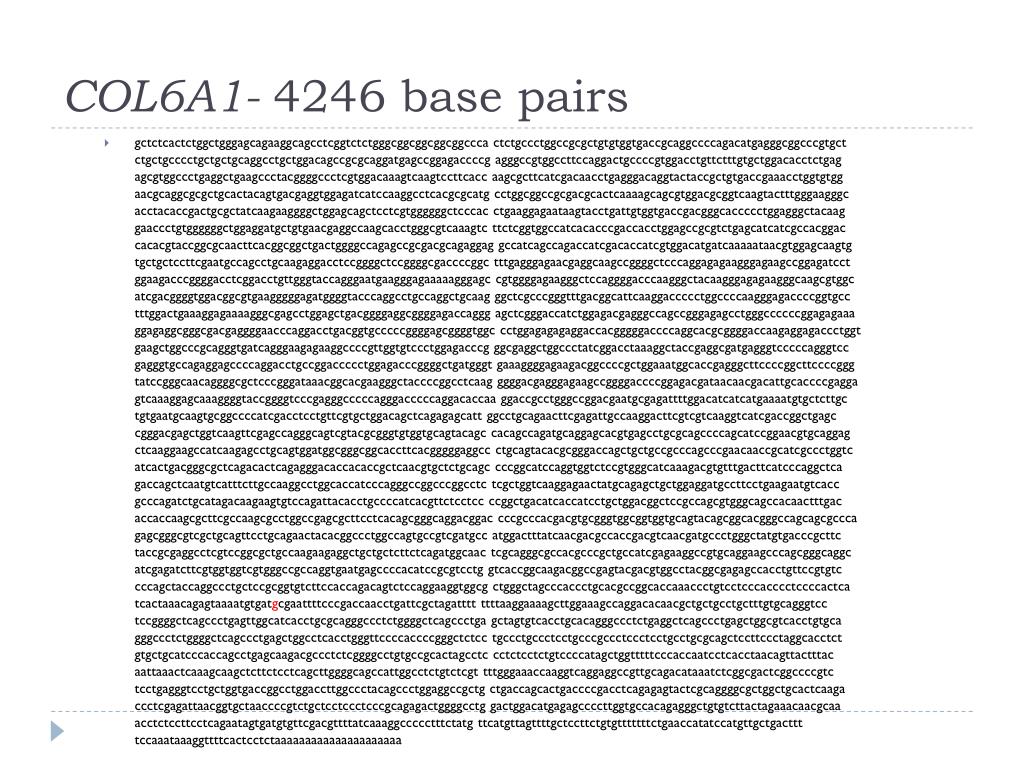 PPT - Clinical and Molecular Characterization of Collagen VI Myopathies ...