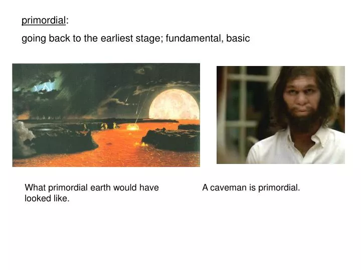 PPT - primordial : going back to the earliest stage; fundamental, basic ...