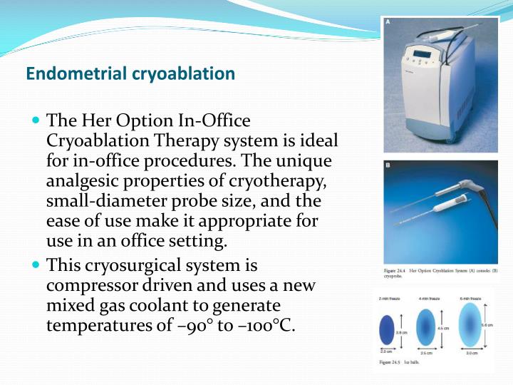 PPT - Endometrial Ablation Techniques PowerPoint Presentation - ID:3007603