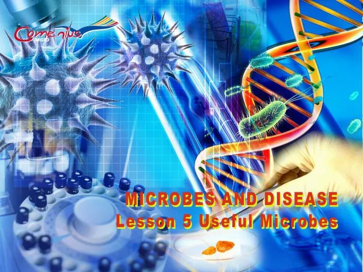 PPT - Lesson 5 – Useful Microbes PowerPoint Presentation, free download ...