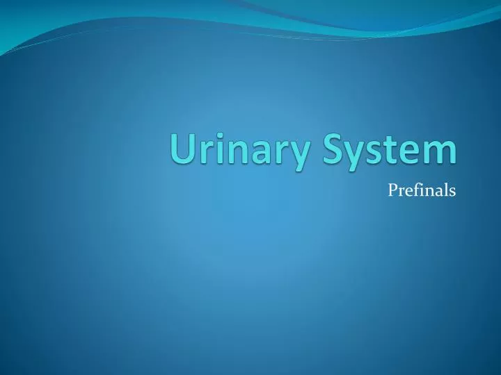 PPT - Urinary System PowerPoint Presentation, free download - ID:3008004