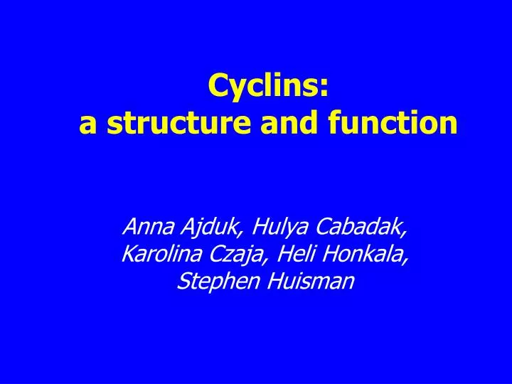PPT - Cyclins: a structure and function PowerPoint Presentation, free ...
