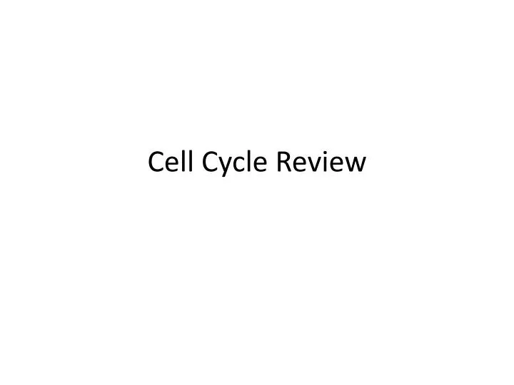 PPT - Cell Cycle Review PowerPoint Presentation, free download - ID:3008545