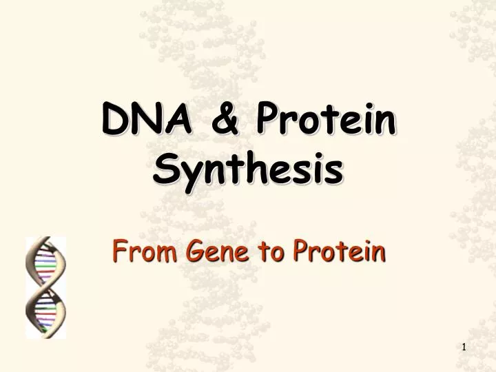 PPT - DNA & Protein Synthesis PowerPoint Presentation, free download ...